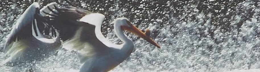 Ouvrage hydraulique de Meewasin | AAPC | CSLA