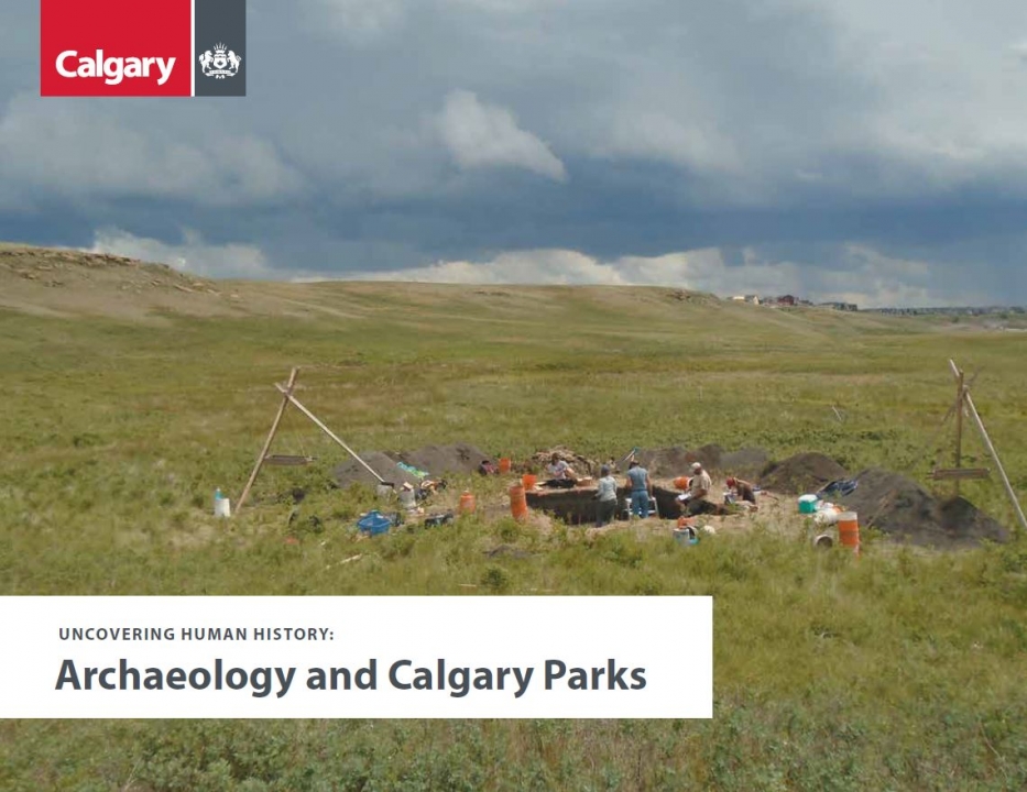 Rain City Strategy: A green rainwater infrastructure and rainwater ...